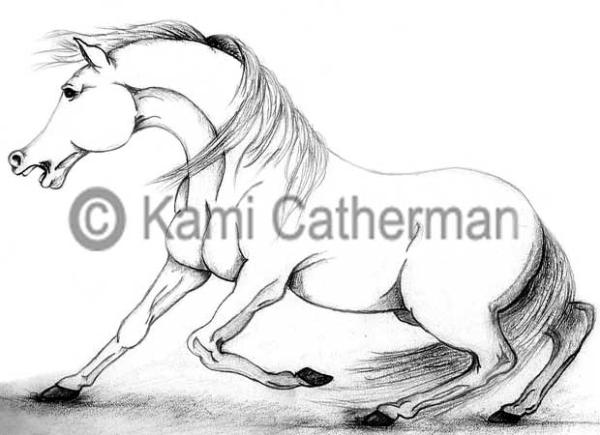 drawing | mustang | art | wild horse