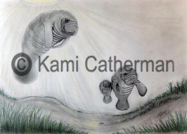 drawing | artwork | manatees